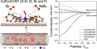 Heterogeneous molecular Co–N–C catalysts for efficient electrochemical ...