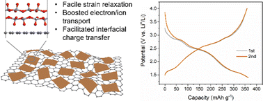 Enabling rapid pseudocapacitive multi-electron reactions by ...
