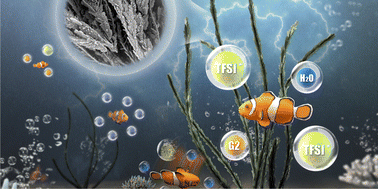 The origin of anode–electrolyte interfacial passivation in rechargeable ...
