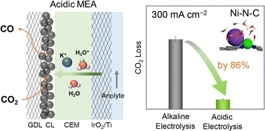 Tailoring acidic microenvironments for carbon-efficient CO2 ...