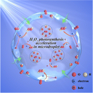 Highly efficient photocatalytic H2O2 production in microdroplets ...