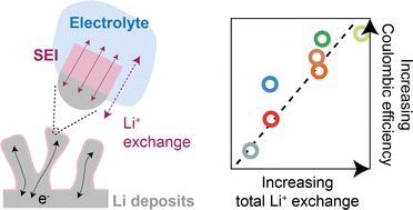Beneficial vs. inhibiting passivation by the native lithium solid ...