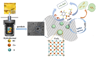 A porous graphitic biochar wrapped Co9S8 core–shell composite enables pH-universal activation of ...