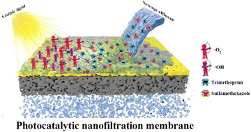 Synchronous removal of antibiotics in sewage effluents by surface ...