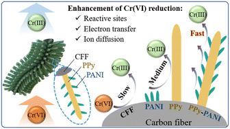 Composite modification of carbon fiber cathode with tree-like branched ...