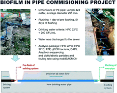 Effects of early biofilm formation on water quality during commissioning of new polyethylene ...