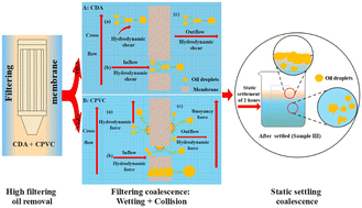 Removal and coalescence of oil droplets in oily wastewater by ...