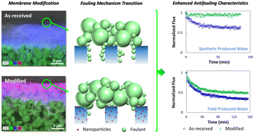 Ceramic membranes with in situ doped iron oxide nanoparticles for ...