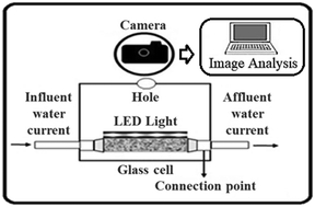 Continuous floc image analyser (C-FIA) for tracking floc particle ...