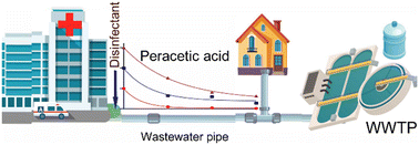 Antibiotic-resistant bacteria disinfection in untreated hospital ...