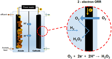 Surface modification of carbon catalysts for efficient production of ...