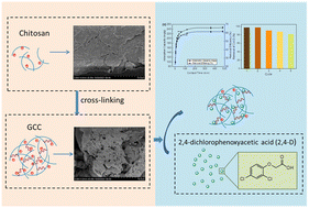 Adsorption property and mechanism of glutaraldehyde-crosslinked ...