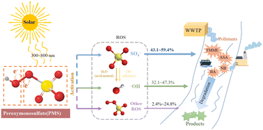 Performance of the solar/peroxymonosulfate process in (waste)water ...