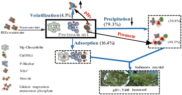 Magnesium Cycle Diagram