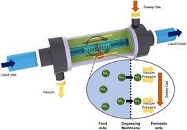 Membrane degassing with the combination of sweep gas and vacuum ...