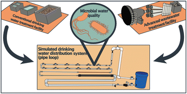 Stay in the loop: lessons learned about the microbial water quality in ...