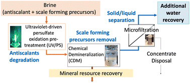 Treatment of brackish water inland desalination brine via antiscalant ...