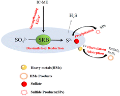 Dynamic experiment on remediation of acid mine drainage by iron–carbon ...