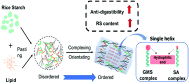 Control of starch–lipid interactions on starch digestibility during hot-extrusion 3D printing ...