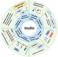 Inulin: properties and health benefits - Food & Function (RSC Publishing)
