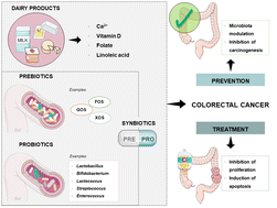 Colon microbiota modulation by dairy-derived diet: new strategy for ...