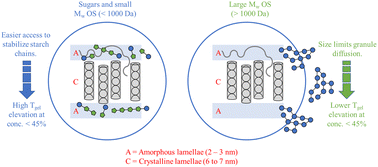 Oligosaccharides elevate the gelatinization temperature of wheat starch ...