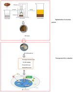 Optimization of smashing tissue and ultrasonic extraction of ...