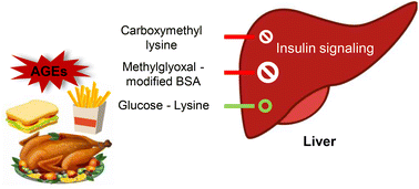 Distinctive effects of different types of advanced glycation end ...