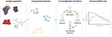 Effects of encapsulation methods on bioaccessibility of anthocyanins: a ...