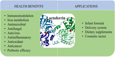 A comprehensive review on lactoferrin: a natural multifunctional ...