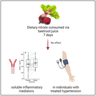 Increased nitrate intake from beetroot juice does not alter soluble ...