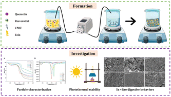 Co-encapsulation of quercetin and resveratrol in zein/carboxymethyl ...
