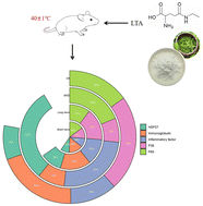 l-Theanine alleviates heat stress-induced impairment of immune function ...