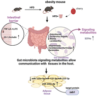 Cherry juice alleviates high-fat diet-induced obesity in C57BL/6J mice ...