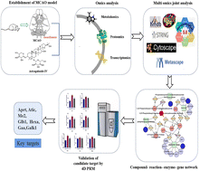 Integrated transcriptomics, proteomics and metabolomics to identify ...