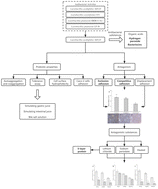 In vitro evaluation of probiotic properties of Lactobacillus ...