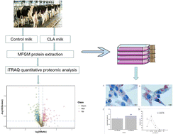 Proteomic analysis of milk fat globule membranes from small-sized milk ...