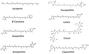 Role of carotenoids in adipose tissue through the AMPK-mediated pathway ...