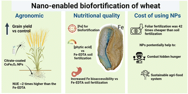 Citrate-coated cobalt ferrite nanoparticles for the nano-enabled ...