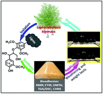 Environmentally sustainable, high-performance lignin-derived universal ...