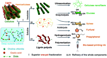 Tailored one-pot lignocellulose fractionation to maximize biorefinery ...
