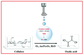 Ultrasonic-assisted oxidation of cellulose to oxalic acid over gold ...