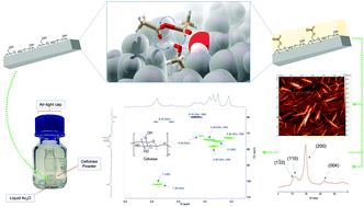 Highly regioselective surface acetylation of cellulose and shaped ...