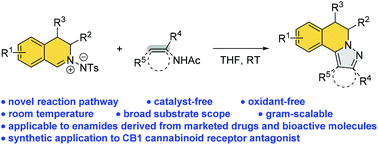 Catalyst-free and oxidant-free tandem aza-Mannich/cyclization ...