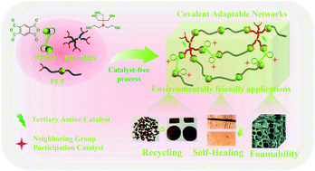 Facile in situ construction of a covalent adaptable network polyester ...