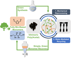 Fully biomass-derived vitrimeric material with water-mediated ...