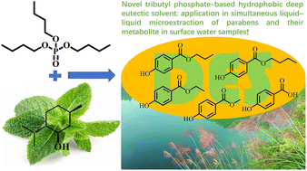 Novel tributyl phosphate-based hydrophobic deep eutectic solvent ...