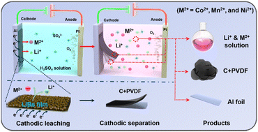 Cathode electrolysis for the comprehensive recycling of spent lithium ...