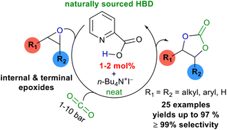 2-Picolinic acid as a naturally occurring hydrogen bond donor for the ...