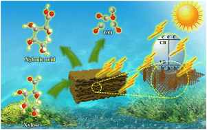 Photo-splitting xylose and xylan to xylonic acid and carbon monoxide ...